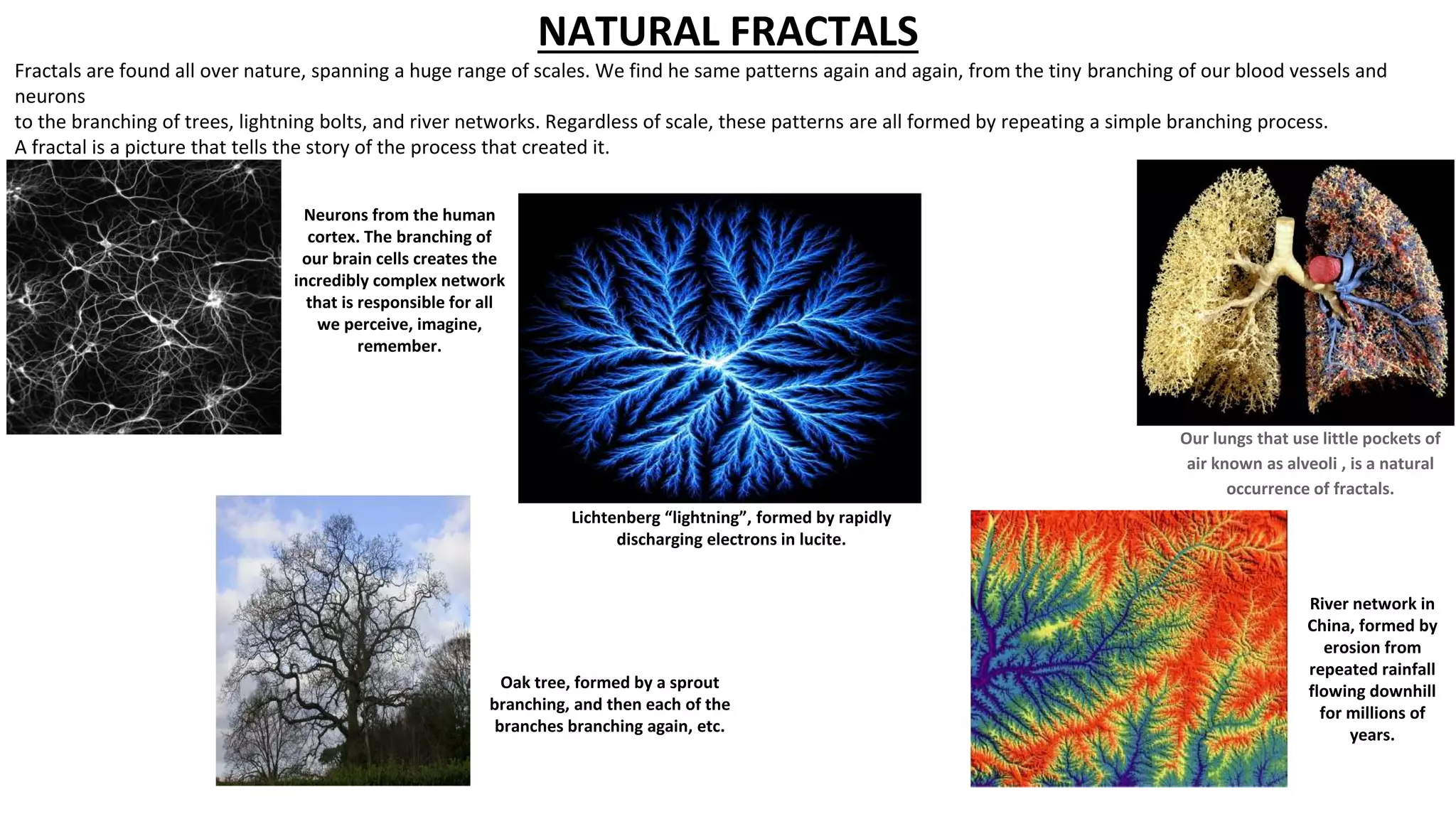 Art of fractals | PPTX | Physics | Science