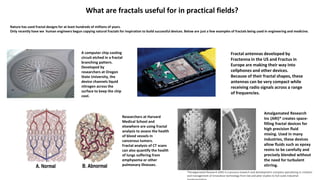 Art of fractals | PPTX | Physics | Science