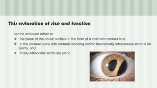 Art of iris repair ppt | PPT