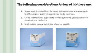 Art of iris repair ppt | PPT