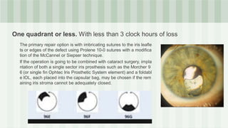 Art of iris repair ppt | PPT