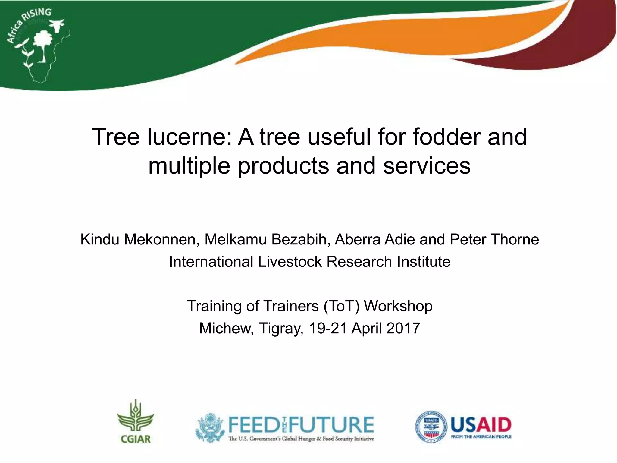 Tree lucerne: A tree useful for fodder and multiple products and ...