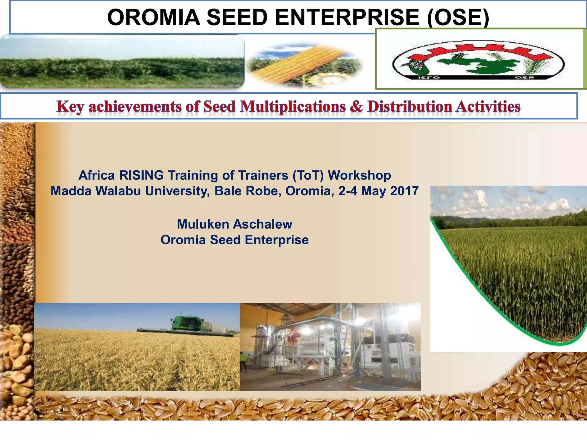 Key achievements of seed multiplications and distribution activities | PPTX