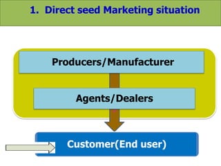 Key achievements of seed multiplications and distribution activities | PPTX