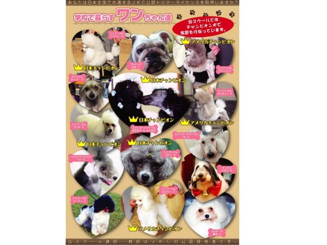 art grooming school pamphlet | PDF