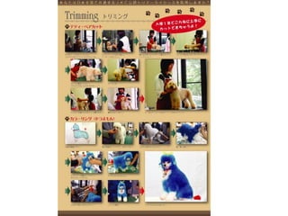 art grooming school pamphlet | PDF