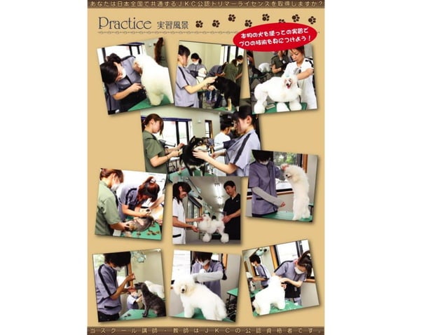 art grooming school pamphlet | PDF