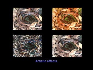 Art presentation pecha kucha | PPT