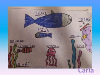 Art project 3rd grade under the sea | PPT