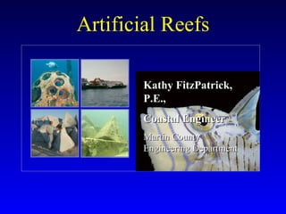 Artificial Reef 2001 Anglers Club | PPT