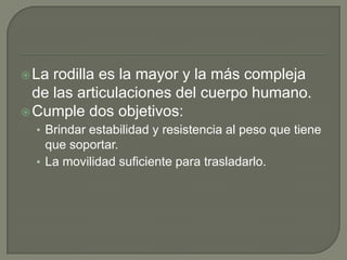 Art rodilla | PPTX