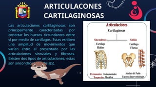 ANATOMIA HUMANA - ARTROLOGIA. - .pptx