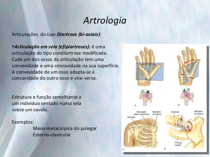 Artrologia