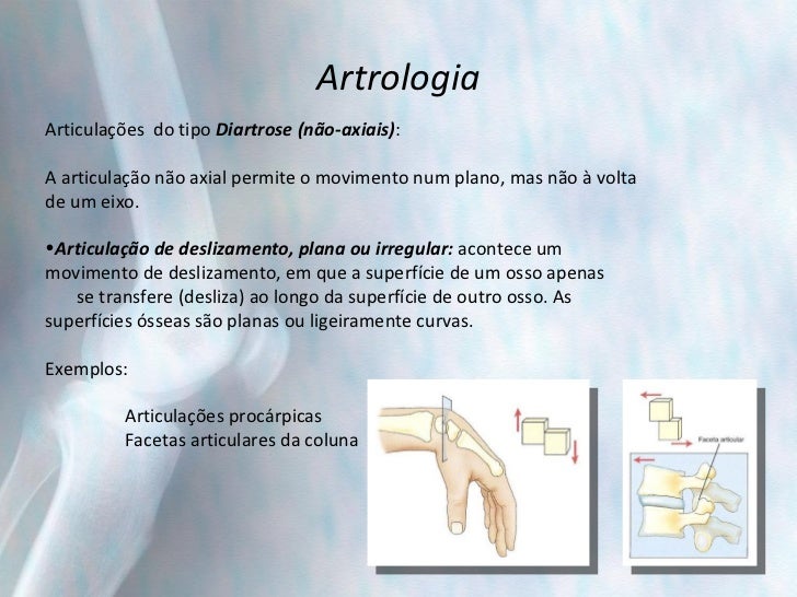 Artrologia