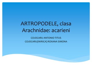 Artropode | PPTX