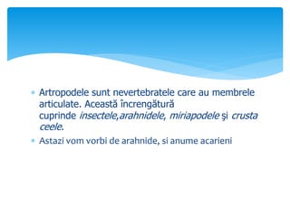 Artropode | PPTX