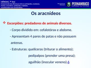 Características dos invertebrados - artropodes- | PPT
