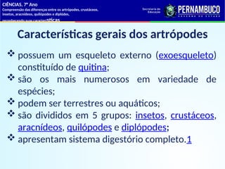 Características dos invertebrados - artropodes- | PPT