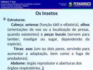 Características dos invertebrados - artropodes- | PPT