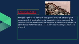 Artropodi | PDF