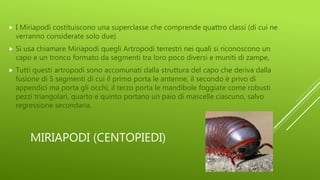 Artropodi | PPT