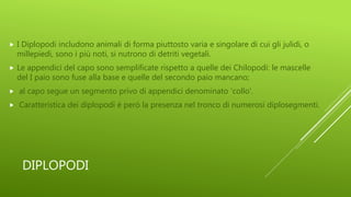 Artropodi | PPTX