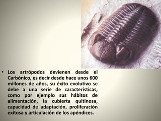 Artropodos | PPTX