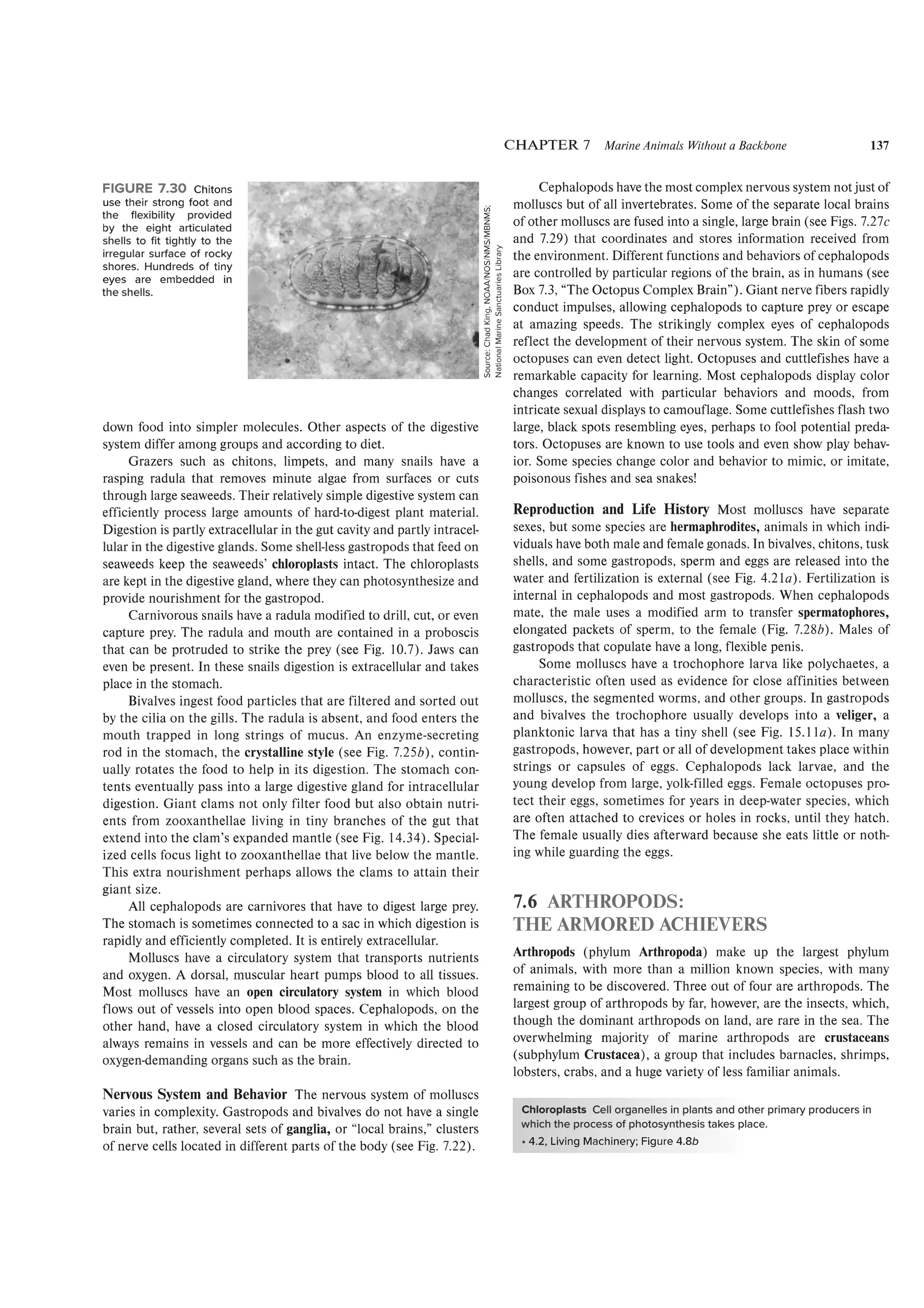 Artropodos Marine Biology.pdf