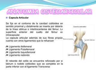 Artroscopia de cadera | PPTX