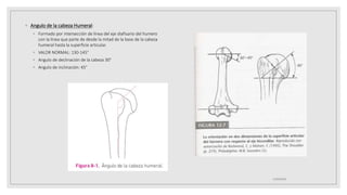 Artrosis de hombro su estudio para manejo quirurgico | PPTX