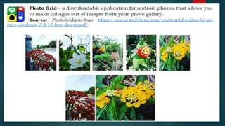 ARTS - 10 MOBILE PHOTOGRAPHY.pptx