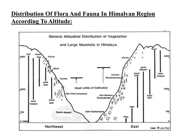 Physical features of India- Himalayan mountains.pptx