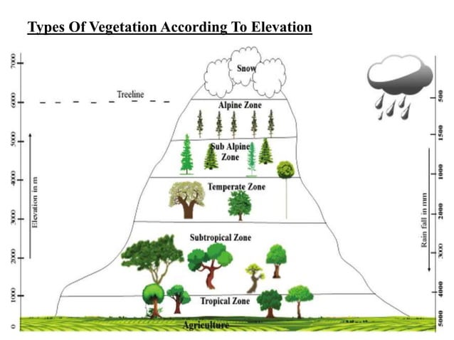 Physical features of India- Himalayan mountains.pptx