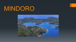 ARTS AND CRAFTS OF MIMAROPA AND VISAYAS REGIONS. 2pptx.pptx