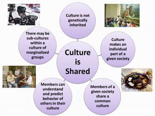 arts in anthropology.pptx