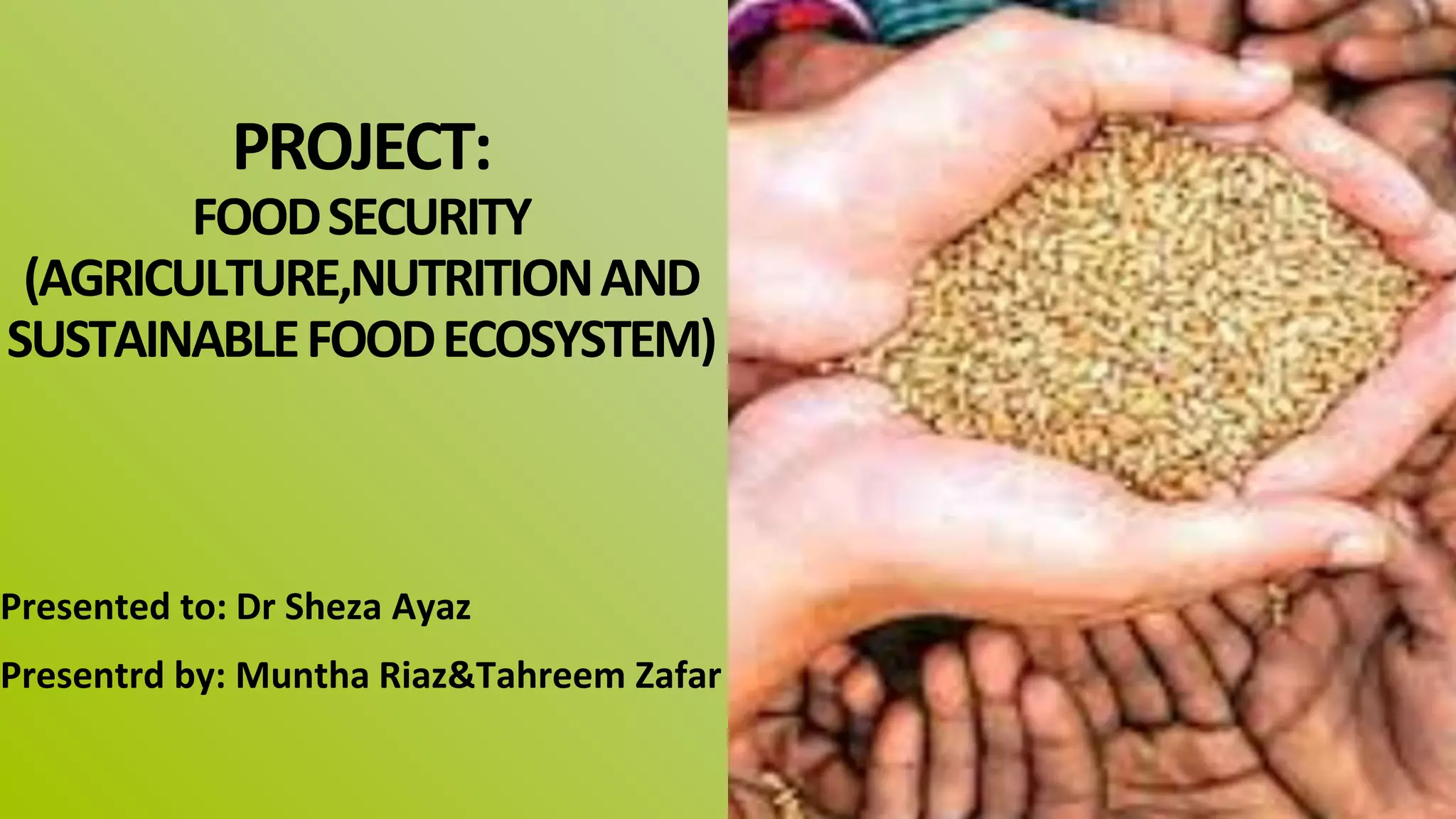 Food security | PPTX