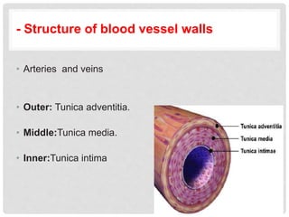 Arty and vens.pptx........................ | PPT