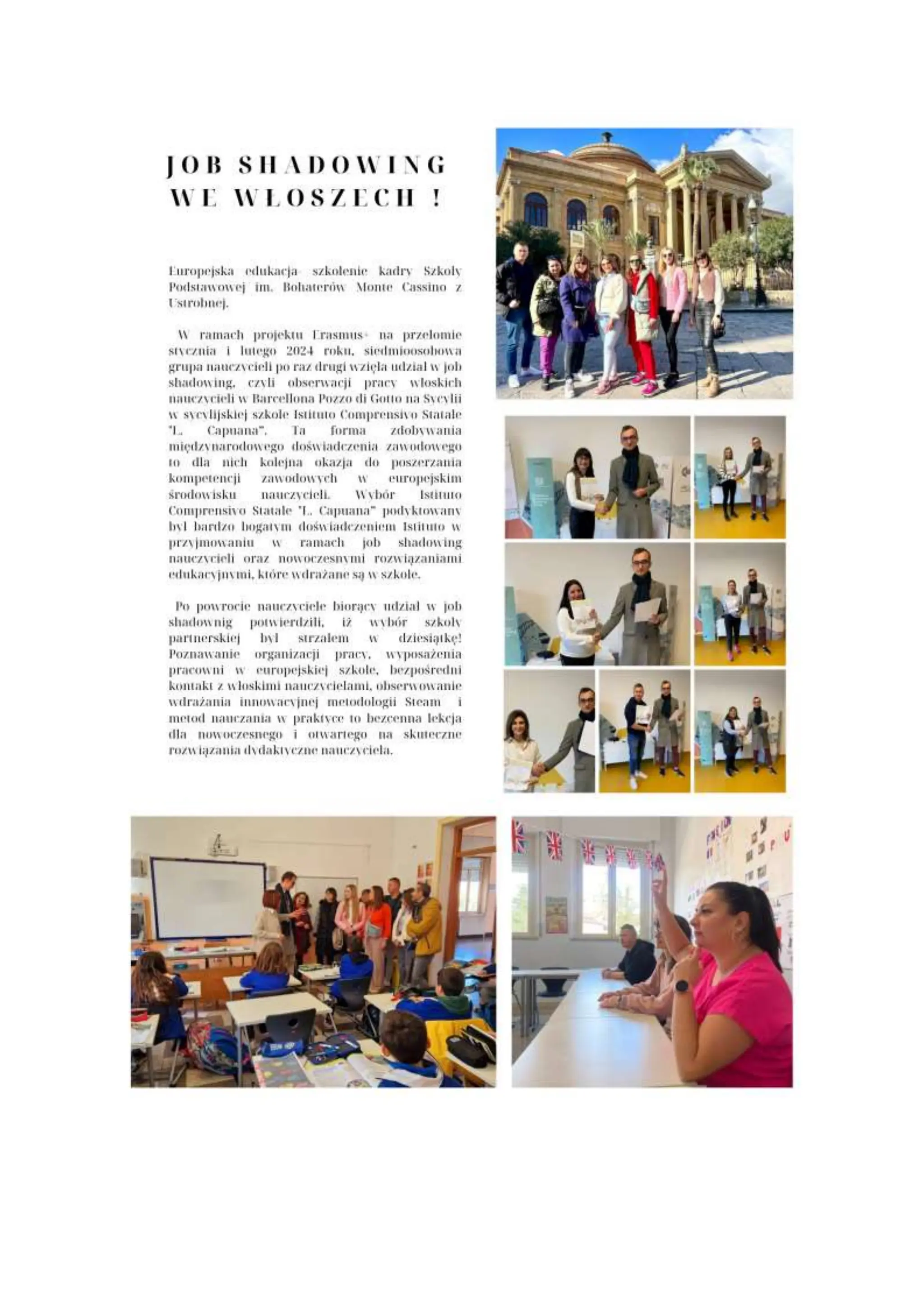 job shadowing artykuł.docx