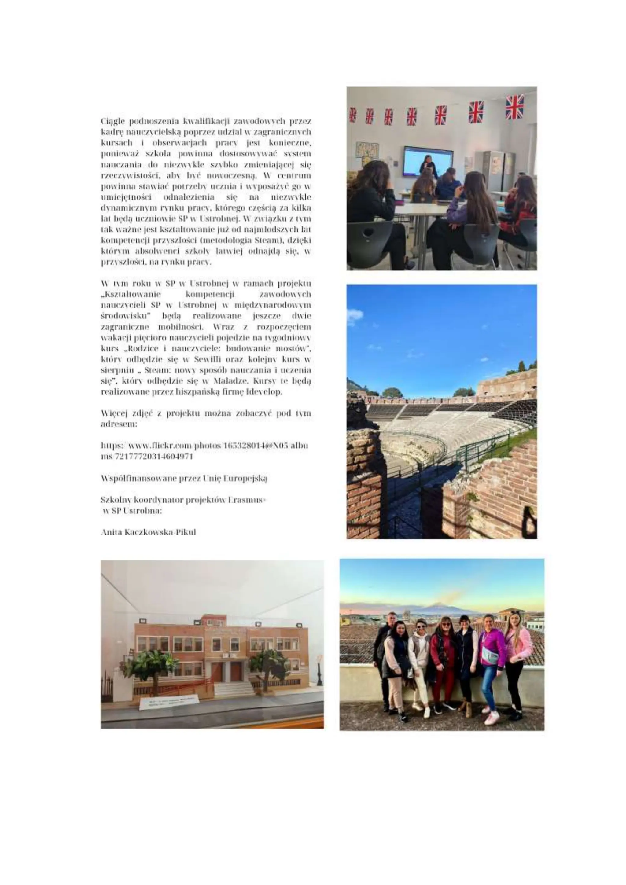 job shadowing artykuł.docx