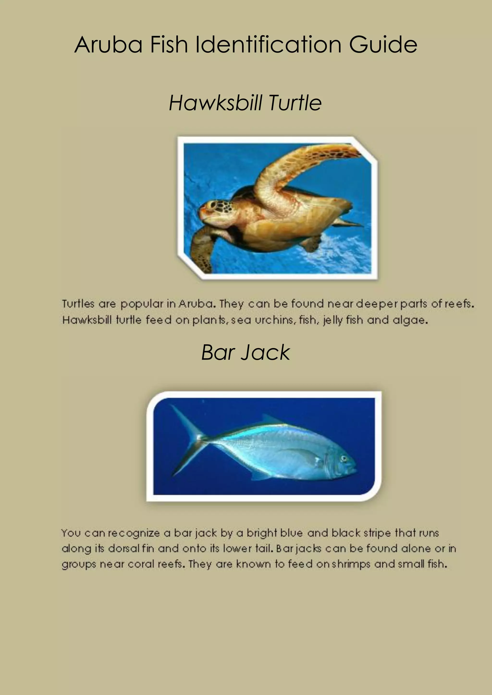 Aruba fish-identification-guide | PDF