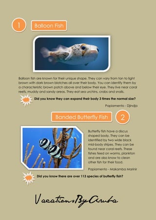 Aruba reef-creature-identification-guide-preview | PDF