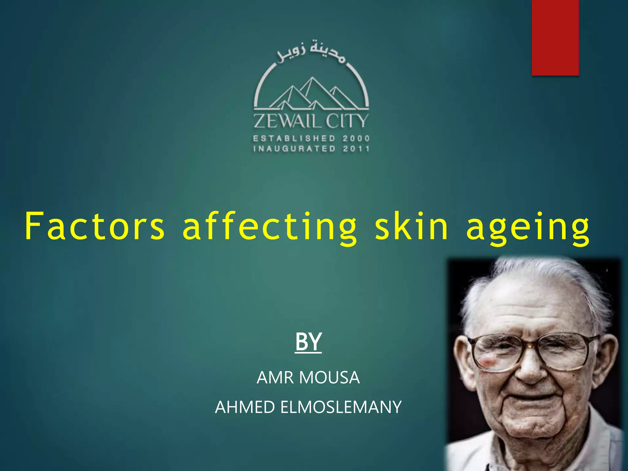 Critical review - factors affecting skin aging - Zewail city | PPT Critical review - factors affecting skin aging - Zewail city | PPT