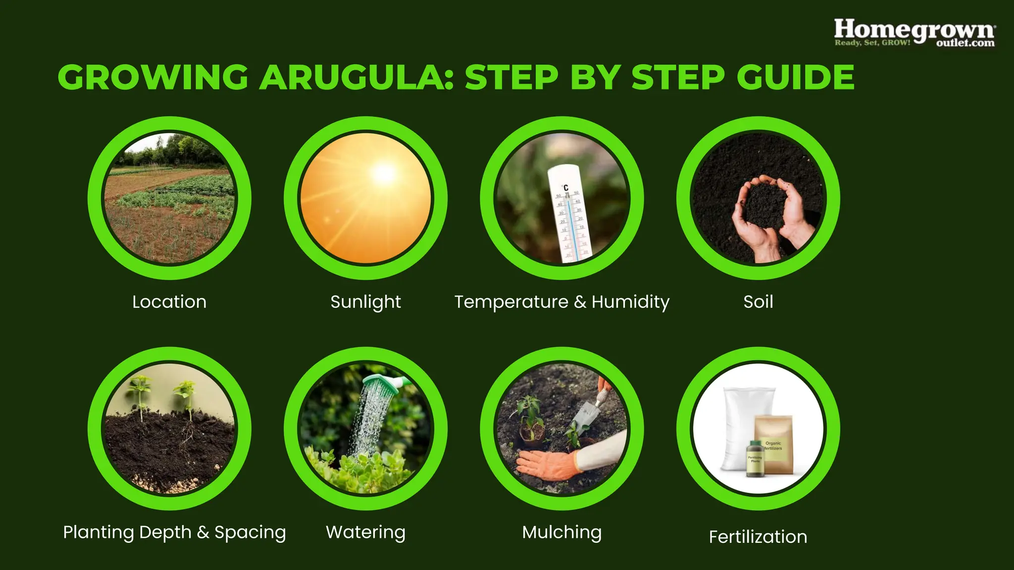 How to grow Arugula? | PDF
