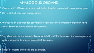 Homologoy and Analogy charecters of animals | PPT