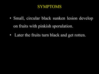 Diseases of horticultural crops | PPTX