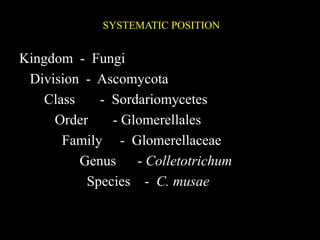 Diseases of horticultural crops | PPTX