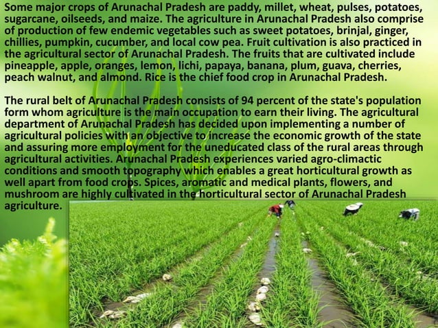 Arunachal Pradesh presentation for class 10th.pptx