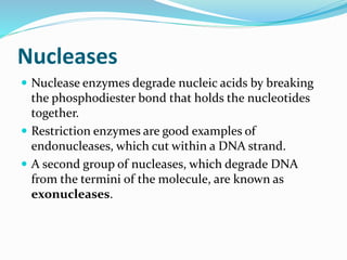 MODIFYING ENZYMES | PPTX