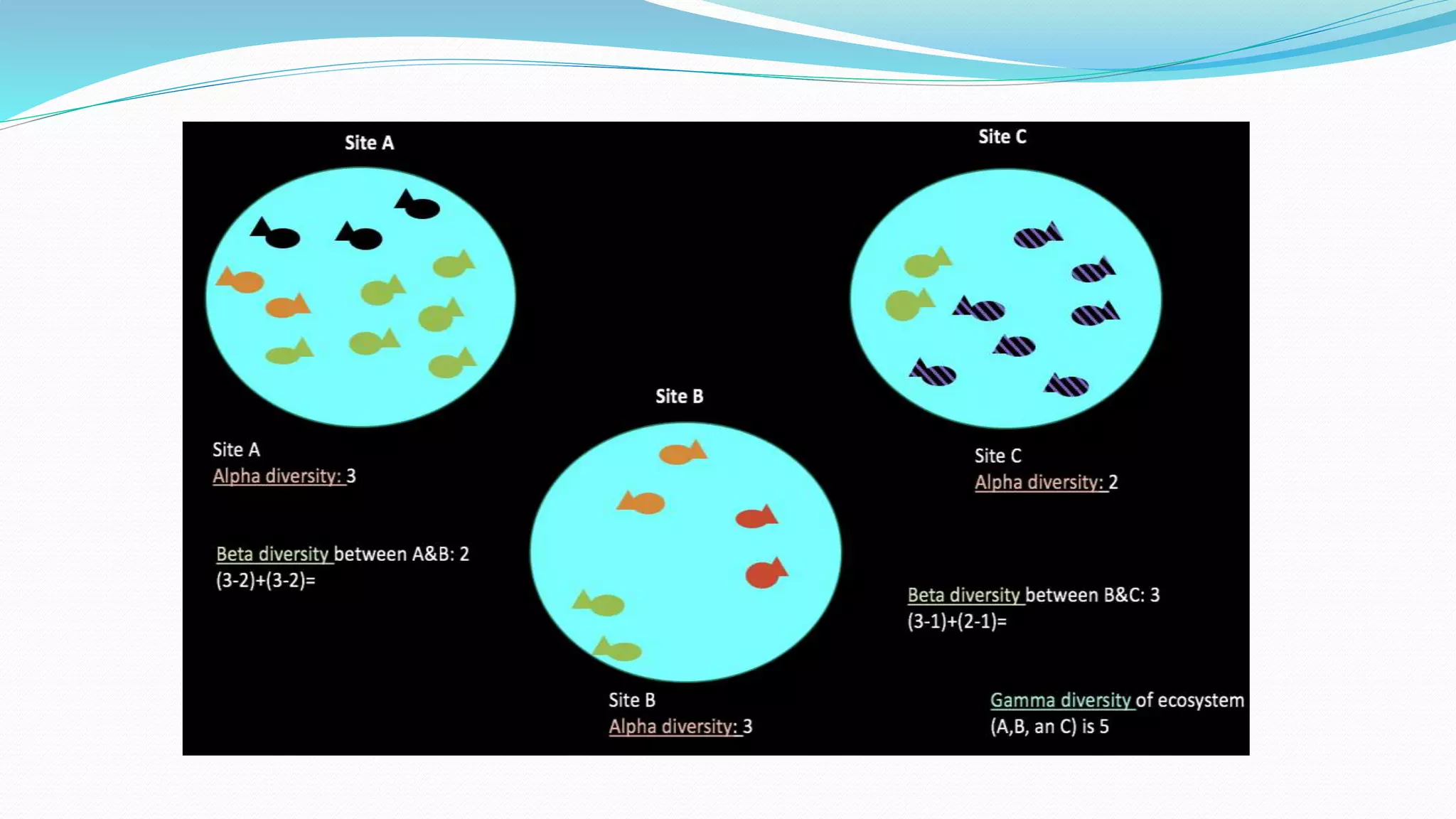 biodiversity indices | PPTX