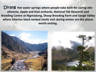 Arunchal pradesh | PPTX